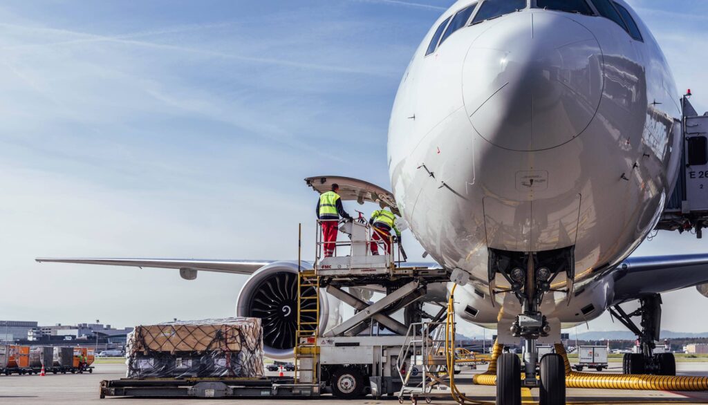 Freight Forwarding - Rapiditors Logistics